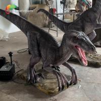 China Amusement Park Life Size Animatronic Dinosaurs Animatronic Velociraptor With Realistic Movement And Sound for sale