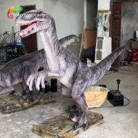 China Realistic Sound Control Systems Animatronic Dinsoaur Simulatio Velociraptor For Exhibition for sale