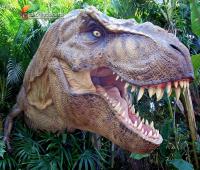China Amusement Park Life Size Animatronic Dinosaurs Animatronic Velociraptor With Realistic Movement And Sound for sale