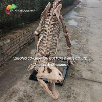 China Highly Detailed Outdoor Decor Resin Dinosaur Skeleton Replica T-Rex Skeleton for sale
