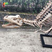China Highly Detailed Outdoor Decor Resin Dinosaur Skeleton Replica T-Rex Skeleton for sale