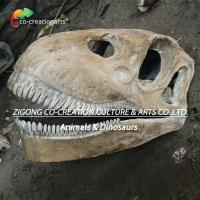 China Authentic Personalized Dinosaur Skeleton Model For Outdoor Decoration Shunosaurus Skeleton Replicas for sale