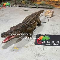 China Life Size Animatronic Crocodile Simulation Animals For Zoo Park Decoration for sale