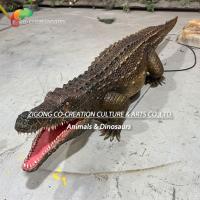 China Life Size Animatronic Crocodile Simulation Animals For Zoo Park Decoration for sale