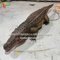 China Life Size Animatronic Crocodile Simulation Animals For Zoo Park Decoration for sale