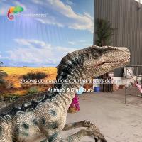 China Realistic Animatronic Dinosaur Velociraptor: Dynamic Museum-Grade Exhibit With Lifelike Movement & Detailed Skin For Immersive Education for sale