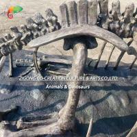 China Fiberglass Dinosaur Skeleton Fossil Remains Parasaurolophus Skeleton Replicas for sale