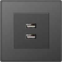 China Full Plastic USB Charger Socket 100-240V AC For Home Hotel Villa for sale