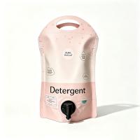 China Corrosion Resistant Home Care Packaging Pouch Laundry Detergent Eco Friendly Packaging With Valve for sale
