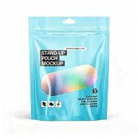 China Holographic Stand-Up Pouch Mockup with Hang Hole - Premium Premade Doypack Mockup for Branding for sale