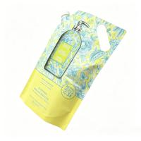China 2L Floral Scent Laundry Detergent Refill Pouch with Handle - 3x Refill Bottle Capacity Leak-Proof Spout Stand-Up Bag for sale