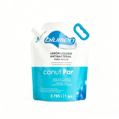 China 1 GAL Antibacterial Liquid Hand Soap Refill Cleaning Pouch with Handle - 3.785L Leak-Proof Spout Stand-Up Bag for sale