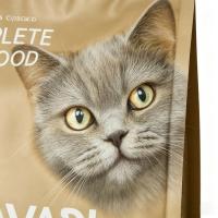 China Custom Full Color Printed Eight Side Seal Cat Feed Bag | Resealable Zipper Pouch With Short-Hair Cat Image For Small Portion Premium Feline Dry Food for sale