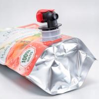 China Custom Printed 5L Stand‑up BIB Bag‑in‑Box Pouch with Butterfly Tap & Die Cut Handle for Apple Fruit Juice Beverage Packaging for sale