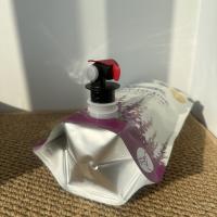 China Custom Logo Ready‑to‑Pour Liquid Packaging Large Capacity Stand Pouch with Dispenser Valve for Hummingbird Nectar for sale