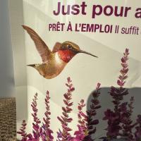 China Custom Logo Ready‑to‑Pour Liquid Packaging Large Capacity Stand Pouch with Dispenser Valve for Hummingbird Nectar for sale