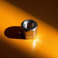 China GH2907/GH907/H29070/Incoloy907 Alloy Nut For Structural Aerospace Components for sale