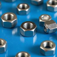 China Welding Hastelloy C-22 UNS N06022 W.Nr.2.4602 Nut Perfect For Pollution Control for sale