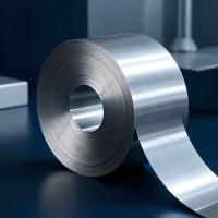 China Hastelloy B-2/N10665/2.4617/ NS3202 Plate/Strip/Bar/Rod/Forging For Acidic Environments In Heat Recovery Systems for sale