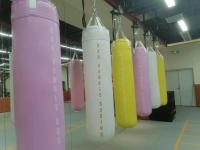China Custom PVC Boxing Bag 40kg-100kg for sale