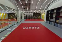 China Waterproof EVA Foam Floor Mat Safety Comfortable 40mm Martial Arts Mats for sale