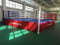 China Module Splicing 7x7m Kick Boxing Ring Martial Arts UFC Fighting Ring for sale