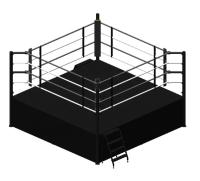 China ISO9001 Thai Boxing Ring 30cm To 100cm Platform Boxing Fight Ring for sale