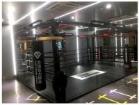 China Personalized Movable Boxing Fighting Ring for sale