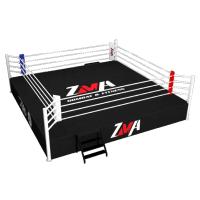 China 5*5m Easy Install Boxing Fighting Ring Competition Training Wrestling Ring for sale