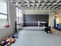 China ISO 4 Paddings 4 Ropes 2 Stairs Boxing Training Ring With Stage for sale