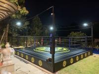 China 5*5m Easy Install Boxing Fighting Ring Competition Training Wrestling Ring for sale