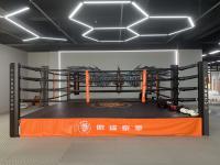 China Custom Logo Professional MMA Cage 7M 6M Platform Boxing Fighting Ring for sale