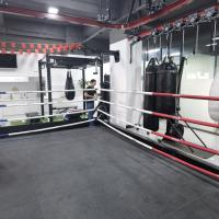 China Screwless Steel Frame Boxing Fighting Ring Equipment Rope Covers 5/6/7 Meter for sale