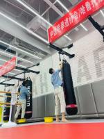 China Custom Muay Thai Kick Boxing Bag Taekwondo Kick Boxing Bag For Home for sale