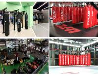 China Antibacterial MMA Heavy Bags Children Adult Punching Bag Heavy Duty Water Punch Bag for sale