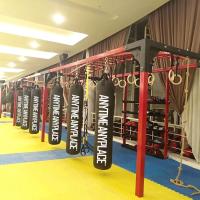 China 2.7M Height Metal Stand Home GYM Boxing Station Heavy Duty Heavy Bag Hanger for sale
