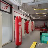 China Custom Print Vintage Thai Boxing Pads Breathable Punching Bag Mitts for sale