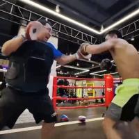 China Custom Logo Boxing Body Pad for sale