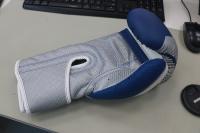China ODM PU Leather Youth MMA Training Gloves 16 Oz MMA Sparring Gloves for sale
