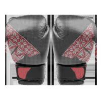 China 8oz To 16oz Exercise Boxing Gloves Professional Boxing Gear 1KG for sale