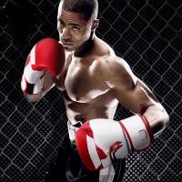 China 2.5KG Durable Exercise Boxing Gloves Fashion MMA Kickboxing Gloves for sale