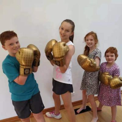China Professional MMA Mixed Martial Arts Gloves Moisture Proof Dragon Boxing Gloves for sale