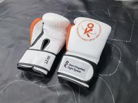 China ISO9001 Universal Exercise Boxing Gloves Pakistan Boxing Lace Gloves 2.5KG for sale