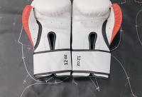 China ISO9001 Universal Exercise Boxing Gloves Pakistan Boxing Lace Gloves 2.5KG for sale