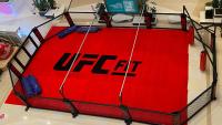 China UV Printing Logo 5x5m MMA Training Cage Mixed Martial Arts Cage OEM ODM for sale