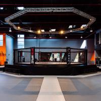 China 25FT La Lutte Home MMA Cage Competition Foldable UFC Octagon Ring for sale