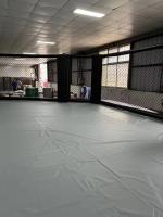 China Competitive MMA Fighting Cage for sale