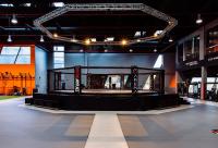 China 24FT 25FT 30FT MMA Training Cage Martial Arts Octagon Competition Boxing Ring for sale