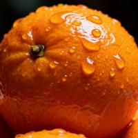 China Fruit Coating Wax - Paraffin/Polyethylene Modified Wax Emulsion FOR Fruits Fresh-keeping for sale