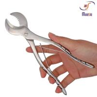 China Stainless Steel Dental Plaster Nippers 18CM Periodontal Tool for sale